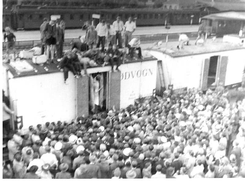 B90805_Køduddeling, besættelsen 2.7.1944.tif | | FotoWeb 8.0