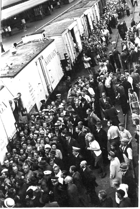 B90815_Køduddeling, besættelsen 2-7-1944.tif | | FotoWeb 8.0